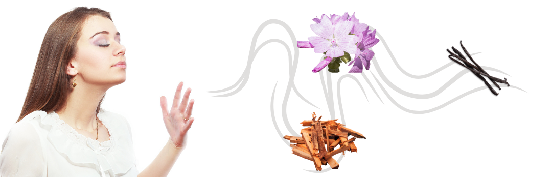 Le langage olfactif : explorer les sens et la signification au-delà des ...